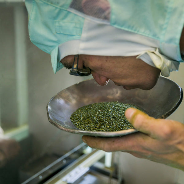 Wholesale: Organic Tencha 0.5 LB LIMITED EDITION – Sugimoto Tea Wholesale